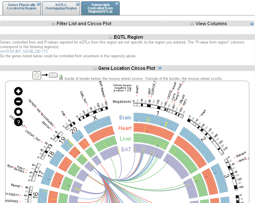 Detailed Transcription Information for Regions